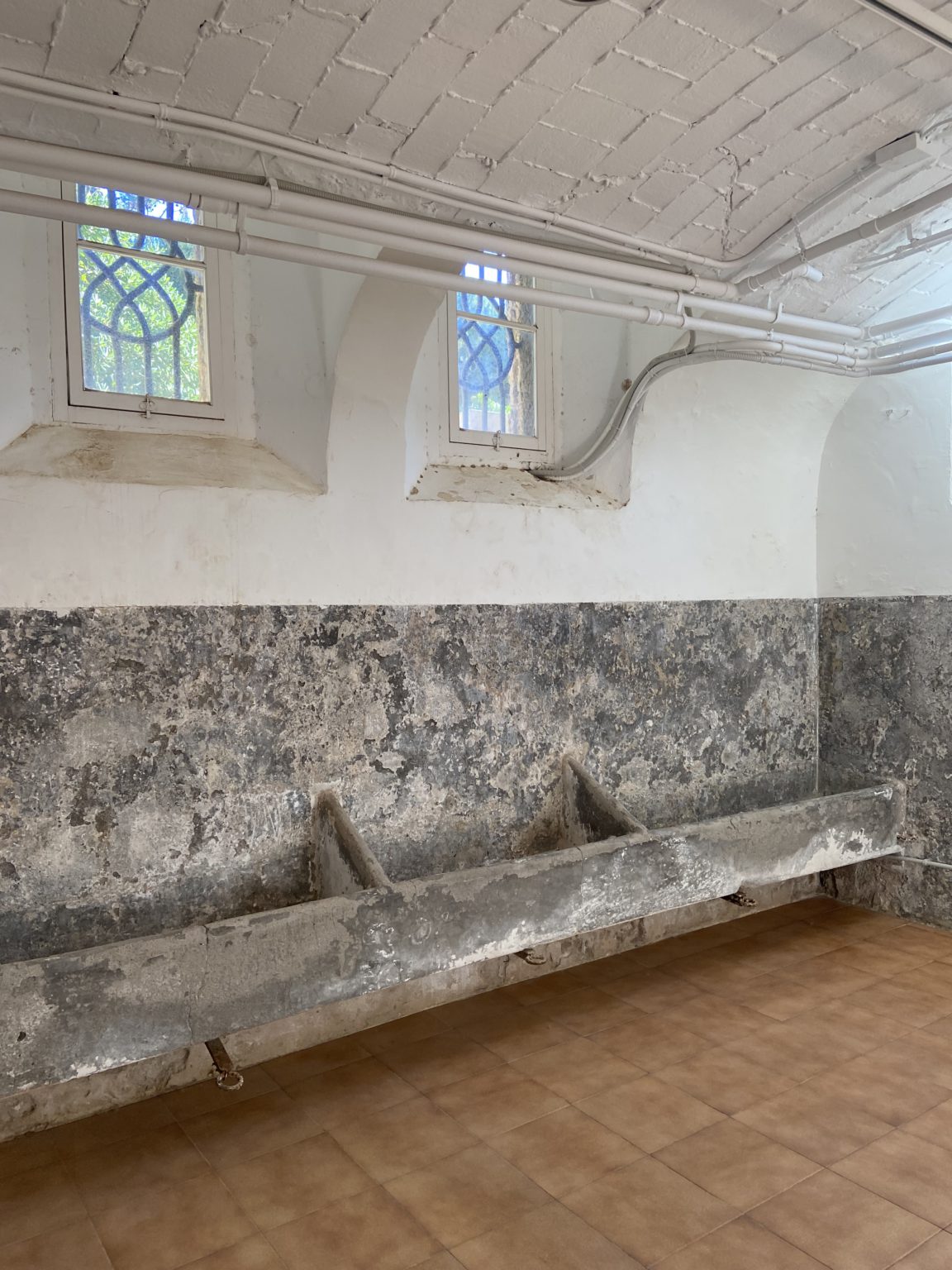 ¿Sabías qué?, El bestiario de Bellesguard II: Gallos, leones y caballos ...