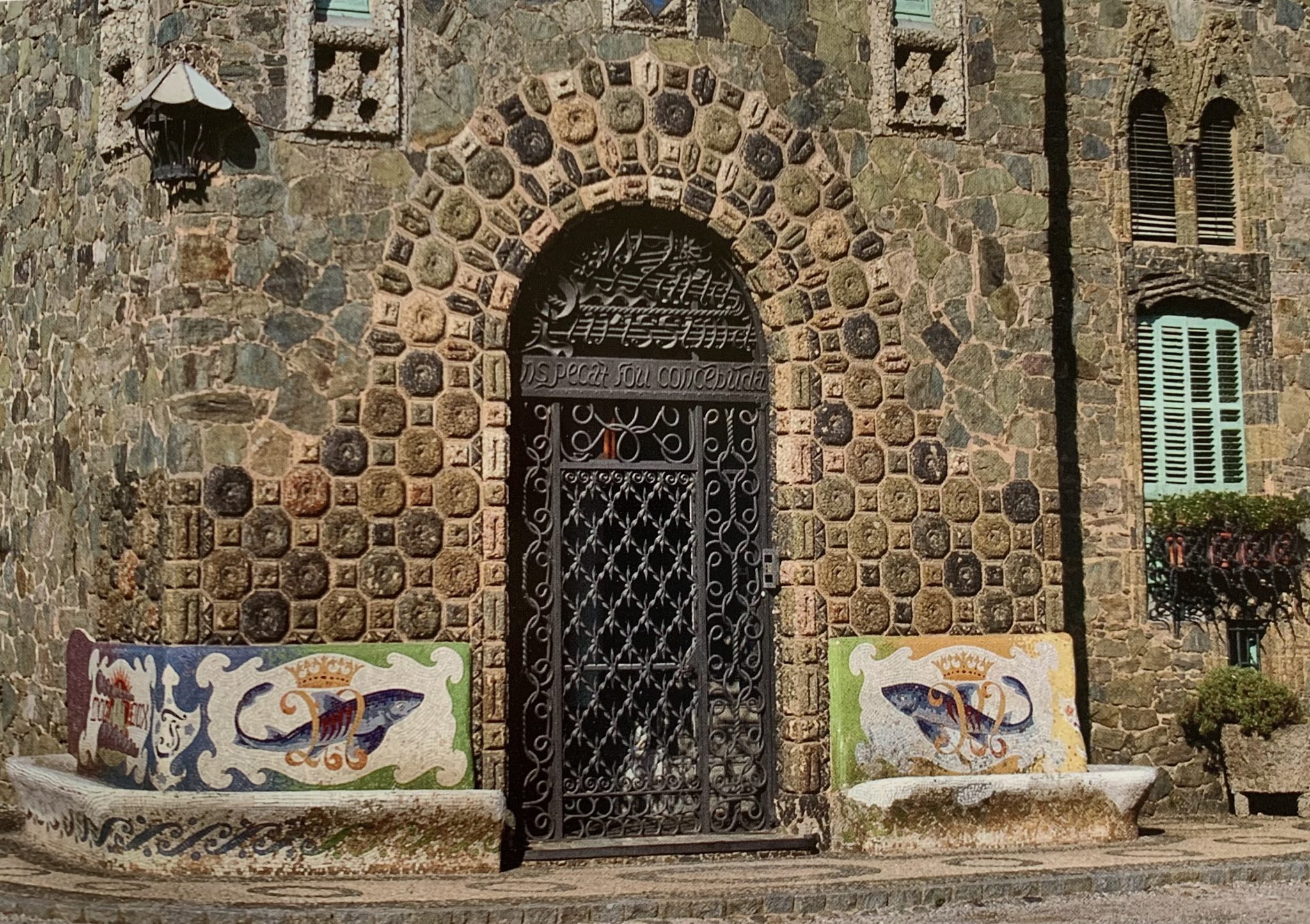 ¿Sabes qué? El bestiario de Bellesguard I: Delfines o tiburones - Obra ...