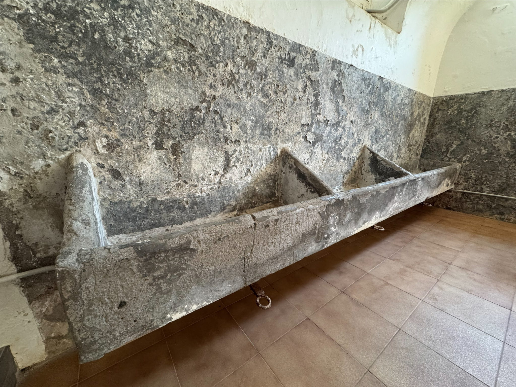 Did you know? A small tribute to the watering trough - Obra Modernista ...